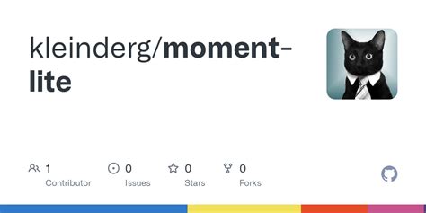 Github Kleinderg Moment Lite