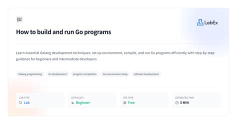 How To Build And Run Go Programs Labex