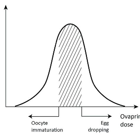 Schematic Graph Of Dose Optimization In Female Sharks A Conceptual