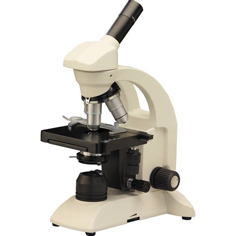 Compound Microscope Electron Microscope At Herlinda Broady Blog