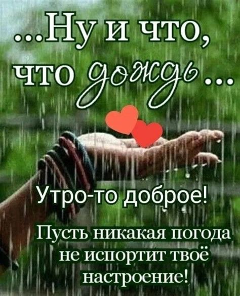 Pin By Elena On Доброе утро вечер пожелания 2024 In 2024 Good Morning Album Morning Morning