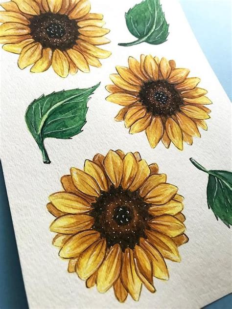 Cute Aesthetic Sunflower Drawings Drawings Of Love