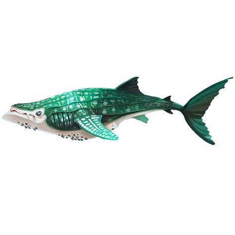 Whale Shark Sam And Zac Wiki Fandom