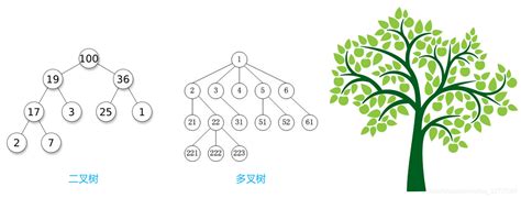 【数据结构】基础二叉树、真二叉树、满二叉树、完全二叉树、二叉树的遍历真二叉树是什么意思 Csdn博客