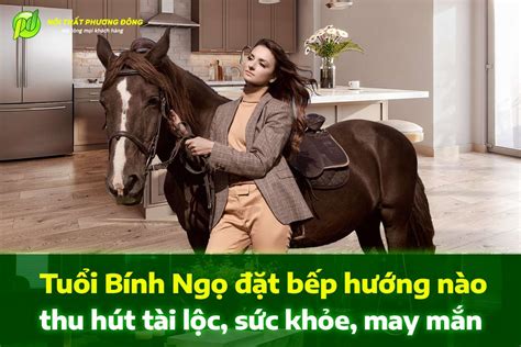 Tuổi Bính Ngọ đặt Bếp Hướng Nào Thu Hút Tài Lộc Sức Khỏe May Mắn