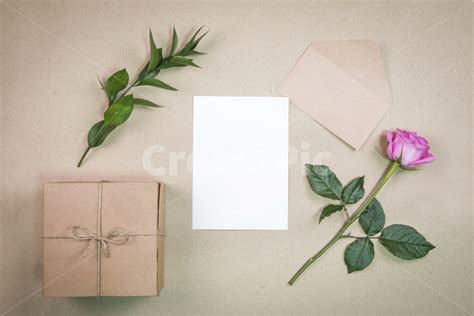 봄 꽃 쇼핑 이벤트 시즌 사진이미지일러스트캘리그라피 Dawool작가