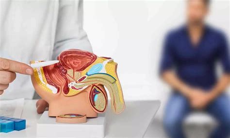 Lesion Size Critical Predictor Of Clinically Significant Prostate Cancer Within Pi Rads 4