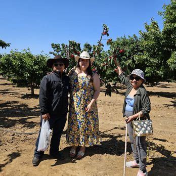 Mariani Orchards Harvest Experience Updated October 2025 22 Photos