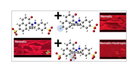Lyotropic Chromonic Liquid Crystals And Their Impurities Reveal The Importance Of The Position