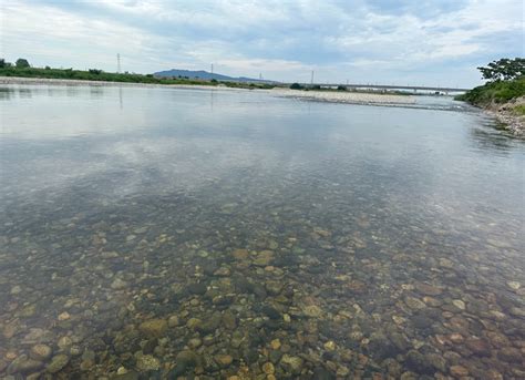 庄川漁連の近況情報川の様子