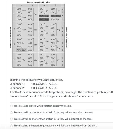 Solved Second Base Of Rna Codon U Uuu Ucu Uau Ugu U Phe Tyr