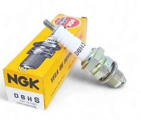 Spark Plug D8hs Ngk A Ally And Sons