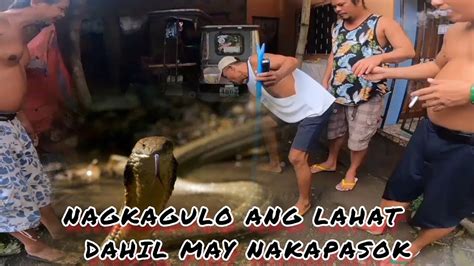 Nagkagulo Ang Lahat Dahil May Nakapasok Cobraking Youtube
