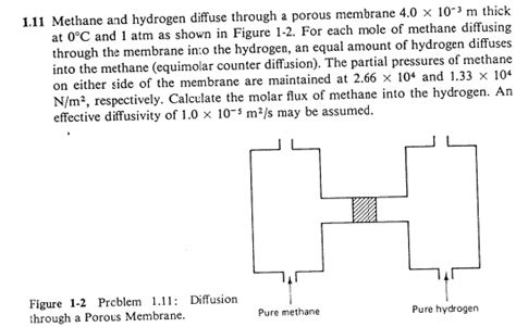 111 Methane And Hydrogen Diffuse Through A Porous Membrane
