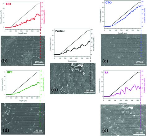 Friction And Plastic Deformation Behaviors For Different Treated
