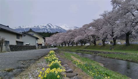 大人になってから学び始めた事 人生の酸いも甘いも噛みしめてしみじみ語る夕暮れのカフェ