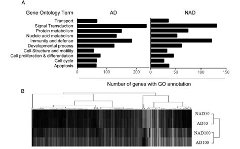 Classification Of Gene Function And Hierarchical Cluster Analysis Of