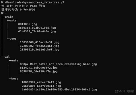 如何训练自己的resnet模型mob6454cc6172e5的技术博客51cto博客