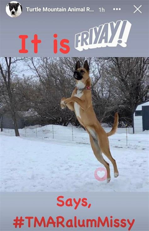 Pin De Cindy Korstad Em Tongue Out Tuesday