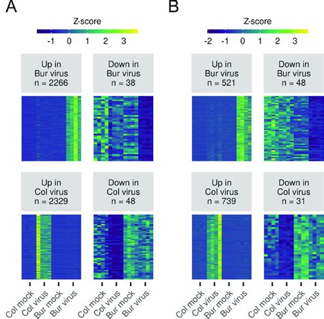 Expression Pattern Of The Differentially Expressed Srna Sequences