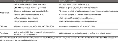 Brainsuite Bids App Outputs Output Measures Generated At The Download Scientific Diagram