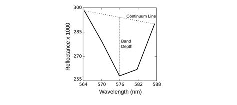 Fig S5 The Fourth Derivative Is Often Used To Discriminate Spectral Download Scientific