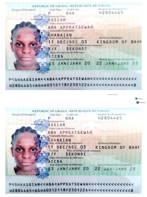 Passport Copy 2 Pdf