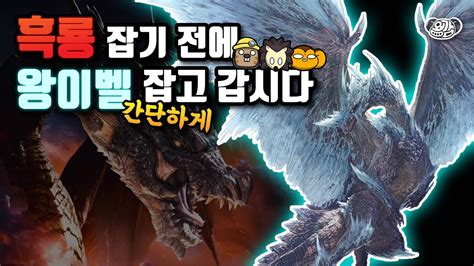 간단하게 왕이벨 못 잡겠습니다 용감의 몬스터헌터 아이스본 하이라이트 Youtube