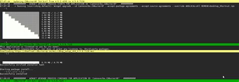 Mod For Override Argument · Romanitho Winget Autoupdate · Discussion 244 · Github