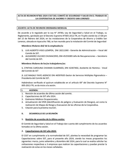 Acta N°002 2024 Csst Pdf Gobierno