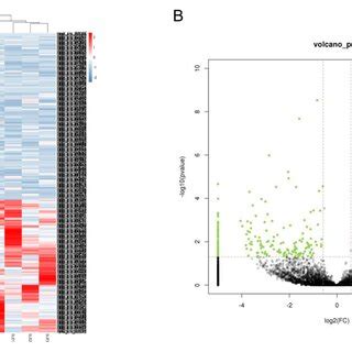 Volcano Plot And Heatmap Of Differentially Expressed CircRNAs Between 4