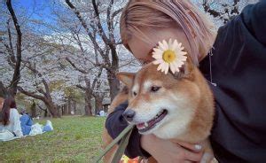 パンサー尾形の嫁尾形あいあいちゃんを徹底調査顔出しはしてる SORTE PLUS ソルテプラス レディースファッションメディア