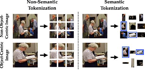 Figure 2 From Vision Transformers With Natural Language Semantics Semantic Scholar