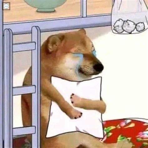 Ảnh Cheems Meme Cute 122 Hình Nền Avatar Cheems Ngầu Buồn Khóc