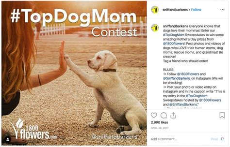 20 Creative Photo Contest Ideas And Examples Woobox Blog