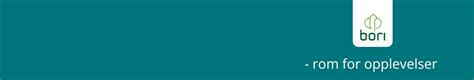 Bori Bbl Linkedin
