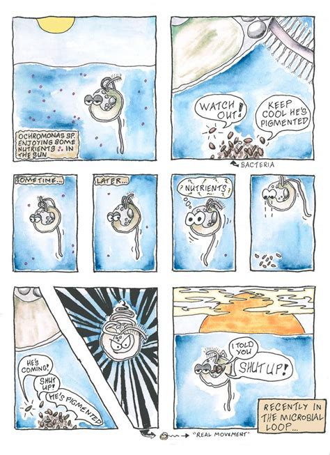 On Mixotrophy Oikos Journal