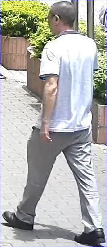 Pp Tinypose自然监控场景下的pose识别效果不佳 · Issue 7197 · Paddlepaddle