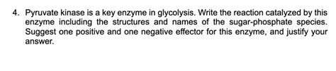 Solved Pyruvate Kinase Is A Key Enzyme In Glycolysis Write