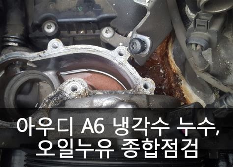일반정비 수입차 전문 서비스센터 엠엠모터스 Mm모터스
