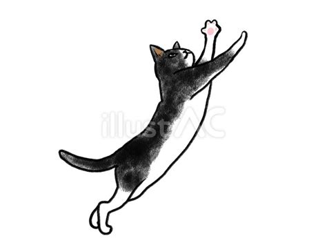ジャンプして飛びつく猫 ハチワレイラスト No 24309357｜無料イラスト・フリー素材なら「イラストac」
