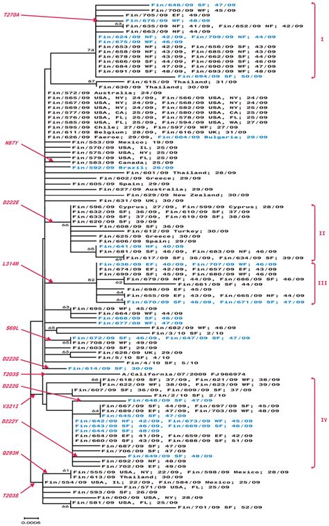 Phylogenetic Tree Of The Ha1 Domain Of The 2009 Pandemic Influenza