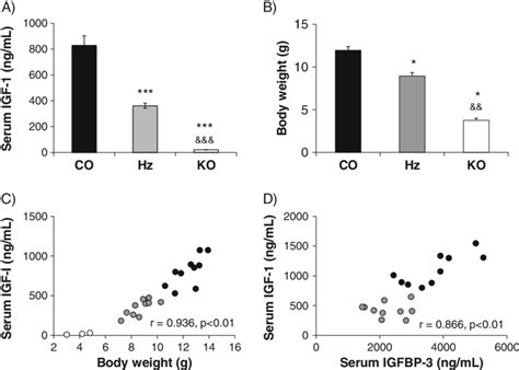 Body Weights Circulating Igf 1 And Igfbp 3 Levels And Their Download Scientific Diagram