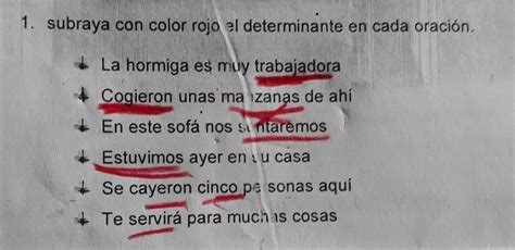 1 Subraya Con Color Rojo El Determinante En Cada Oracion Brainly Lat