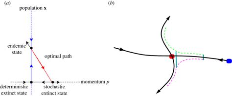 A Schematic Showing The Fixed Points And Heteroclinic Trajectories