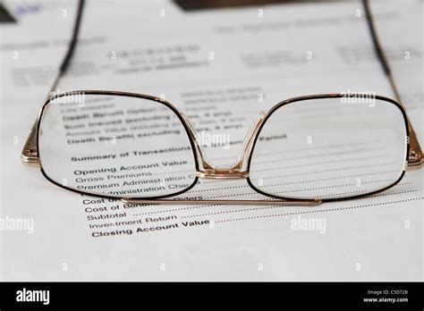 Glasses Rims Corrective Remedial Curative Vision Spectacles Temples See