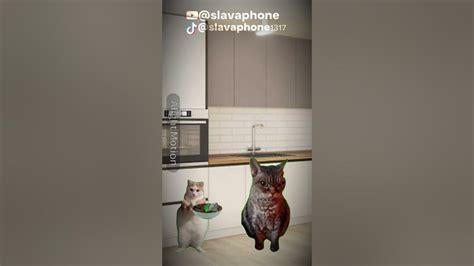 Які я колись салати робив 😁 меми Cat рекомендации Memes рекомендації жиза Funny мемчики