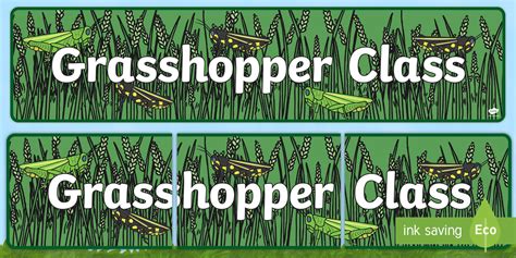 Grasshopper Themed Classroom Display Banner Teacher Made