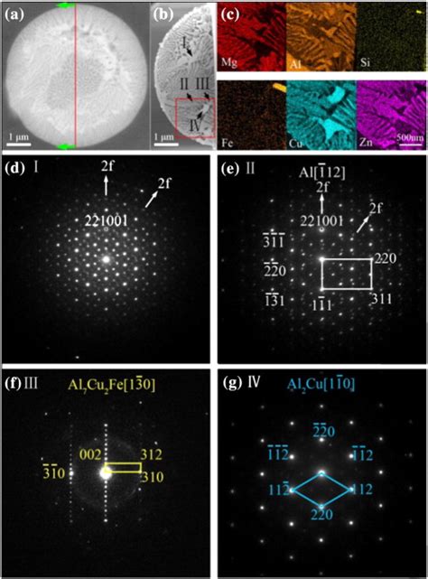 The Microstructures Of The Type 1 Particle A An Overview Of The