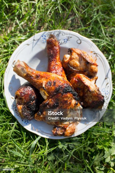 닭은 야외 녹색 잔디 배경에 접시에 거짓말을 여름 수직 맛 있는 음식 사진입니다 0명에 대한 스톡 사진 및 기타 이미지 0명